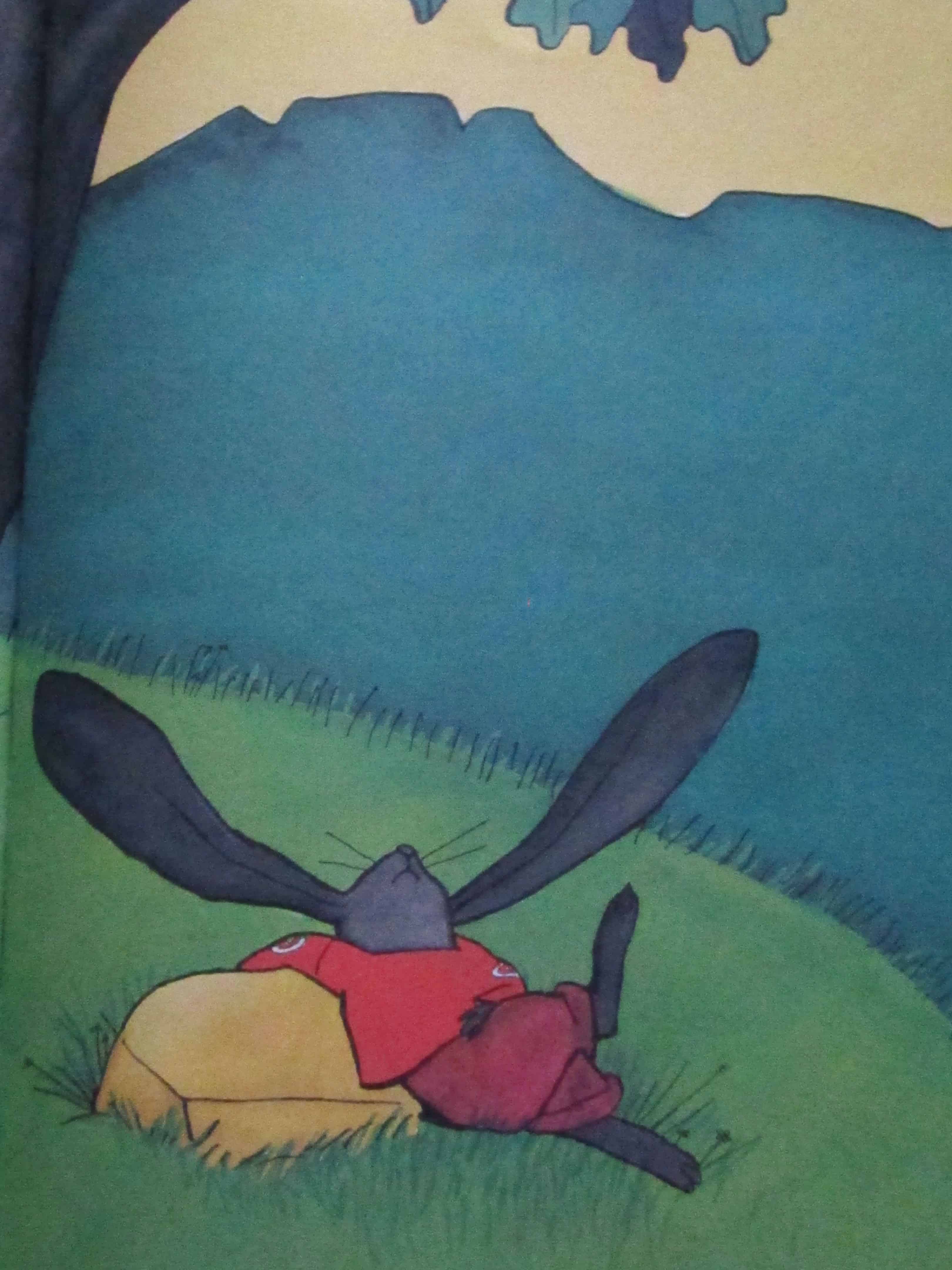 A beautiful rabbit story - Pirouette